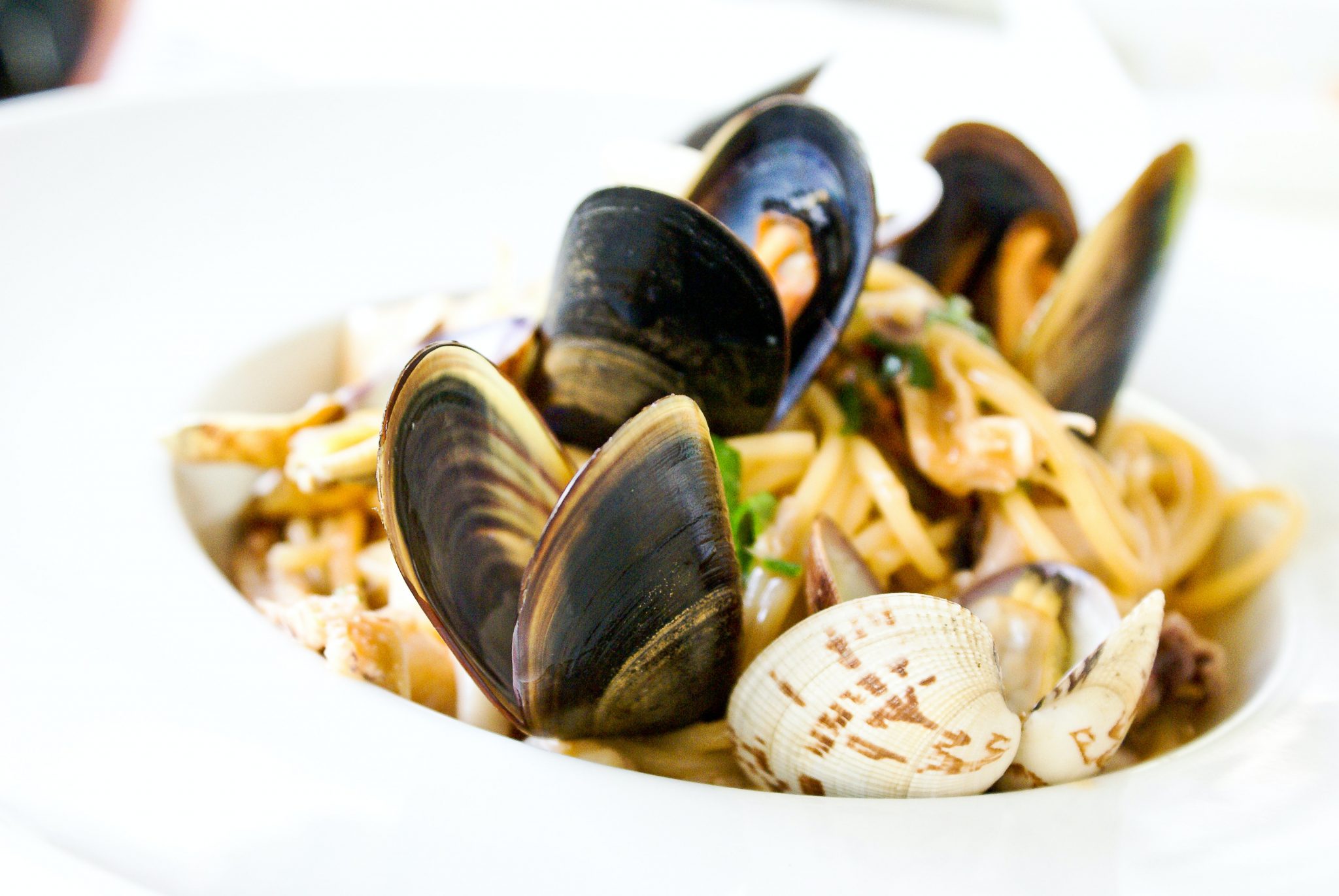 Sustainable Seafood Buying Guide: Why Shellfish Are Best